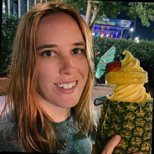 Casbin authorization: definition, pros and cons, and alternatives.